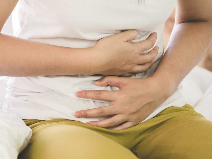 What is Gut Health? A Beginner’s Guide to a Happy Digestive System